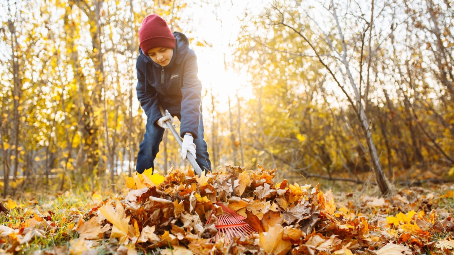 Boomer Childhood Experiences That Show Kids Today Have It Easy